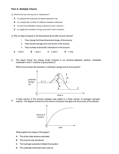 9700 CIE Enzymes Examination Pack - Review Sheet, Examination, Answers ...