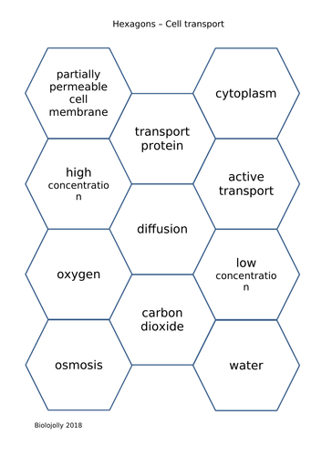 Biology Paper 1 revision - SOLO Hexagons | Teaching Resources Biology Paper 1 revision - SOLO Hexagons | Teaching Resources