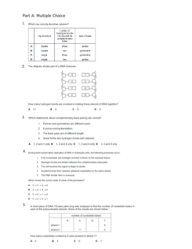 9700 CIE Mitotic Cell Cycle & Protein Synthesis Exam Pack- Review, Exam ...