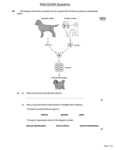Lesson and resources on sexual and asexual reproduction AQA GCSE ...