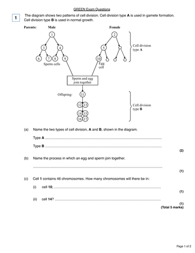 Lesson and resources on Meiosis AQA GCSE | Teaching Resources Lesson and resources on Meiosis AQA GCSE | Teaching Resources
