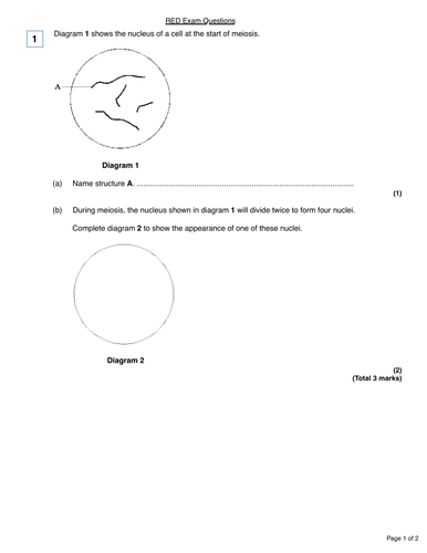 Lesson and resources on Meiosis AQA GCSE | Teaching Resources Lesson and resources on Meiosis AQA GCSE | Teaching Resources