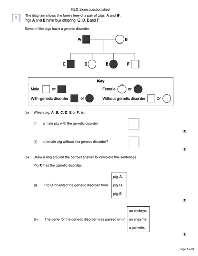 Lesson and resources on Inheritance AQA GCSE | Teaching Resources