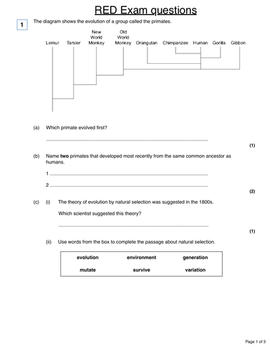Lesson And Resources On Classification Aqa Gcse Teaching Resources