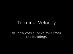 2019 AQA GCSE Physics Forces Terminal velocity | Teaching Resources