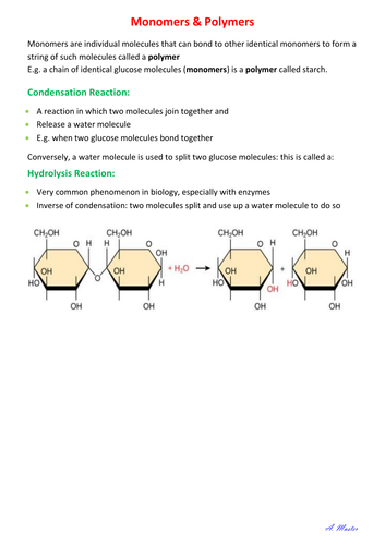 Monomers and Polymers | Teaching Resources