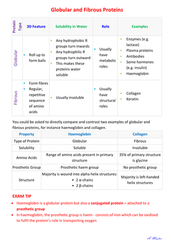 Globular and Fibrous Proteins | Teaching Resources