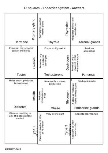 Endocrine System - cut and resort 12 squares | Teaching Resources