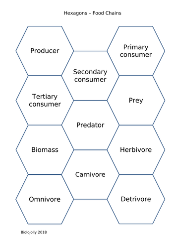 Food chains - SOLO Hexagons | Teaching Resources Food chains - SOLO Hexagons | Teaching Resources