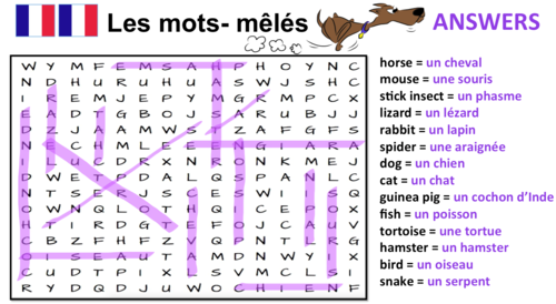 Les animaux (domestiques)/ Pets-crosswords and word search- French ...