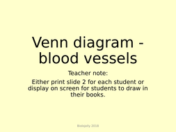 Blood vessels - Venn diagram activity | Teaching Resources