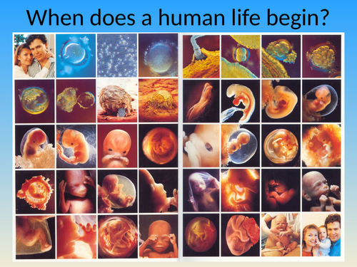 Good Conduct and Key Moral Principles - Sanctity of Life - Rights of ...