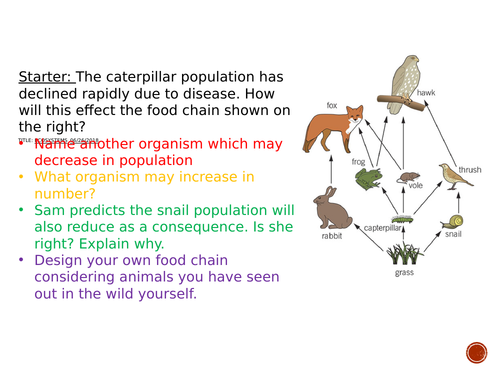 Ecosystems - complete lesson (KS3 1-9) | Teaching Resources