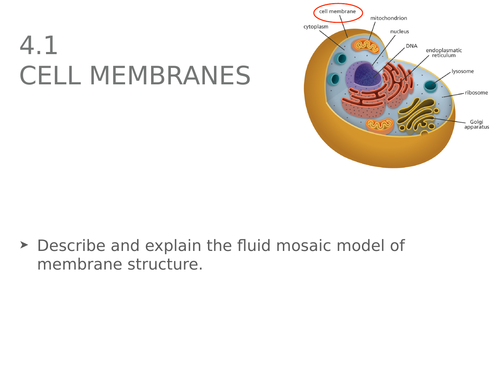 9700 CIE 4.1 A Level Biology: Fluid Mosaic Membranes Presentation ...