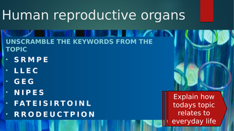 Human reproductive organs KS3 | Teaching Resources