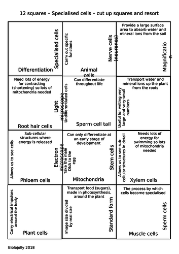 Biology revision 12 squares | Teaching Resources