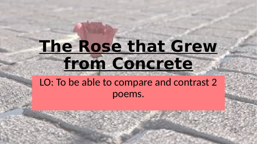 Unseen poetry Full Scheme of work AQA Literature paper 2 | Teaching ...