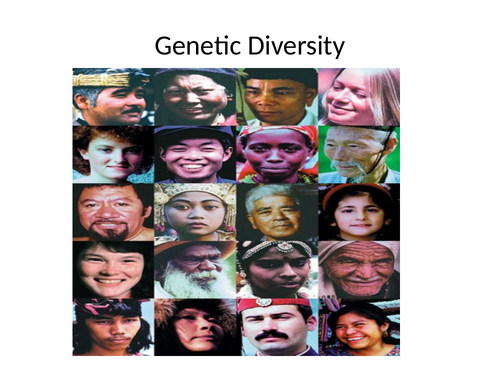 Genetic Diversity | Teaching Resources