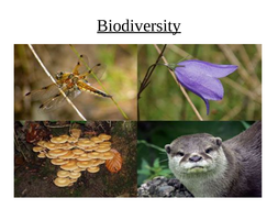 Biodiversity | Teaching Resources