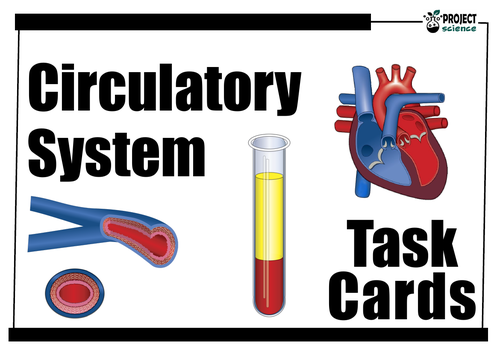 Circulatory System Task Cards | Teaching Resources