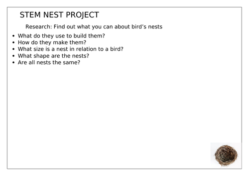Birds Nest STEM project KS2 | Teaching Resources