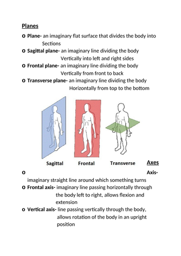 Edexcel GCSE PE planes and axis notes | Teaching Resources