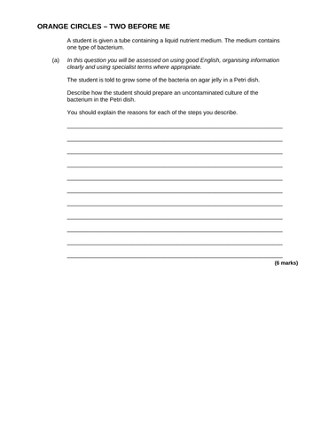 Growing Bacteria In The Lab Gcse