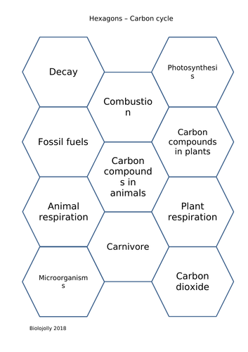 Carbon cycle - SOLO Hexagons | Teaching Resources