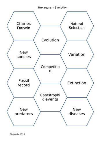 Biology Paper 2 revision - SOLO Hexagons | Teaching Resources