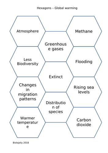 Biology Paper 2 revision - SOLO Hexagons | Teaching Resources
