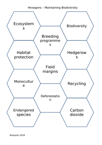 Biology Paper 2 revision - SOLO Hexagons | Teaching Resources