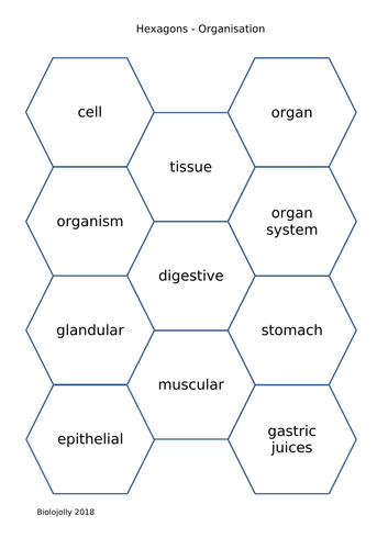 Biology Paper 1 revision - SOLO Hexagons | Teaching Resources