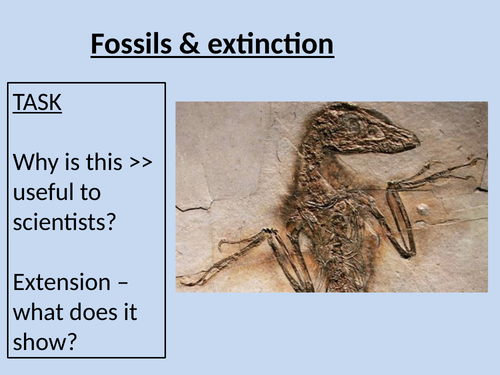Fossils & Extinction 9-1 AQA | Teaching Resources