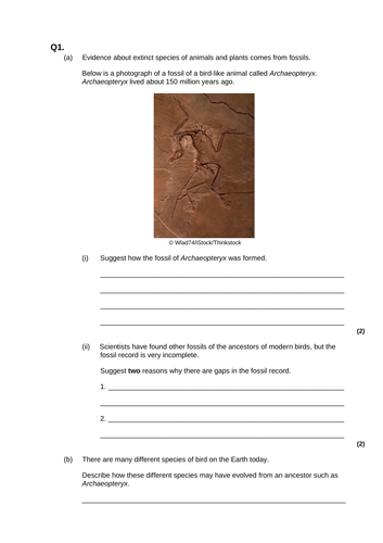 Fossils & Extinction 9-1 AQA | Teaching Resources