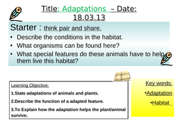 KS3 adaptation outstanding lesson | Teaching Resources