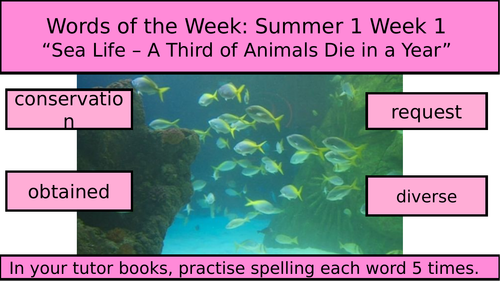 Whole-School Literacy and Spelling Unit | Teaching Resources