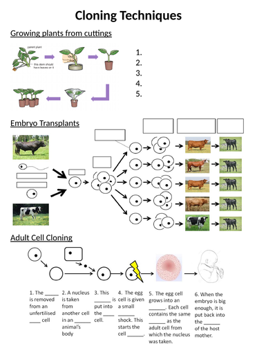 Cloning - 9-1 Biology | Teaching Resources
