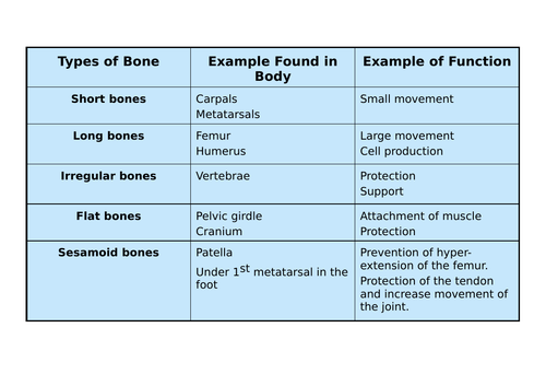 BTEC Sport Anatomy & Physiology | Teaching Resources