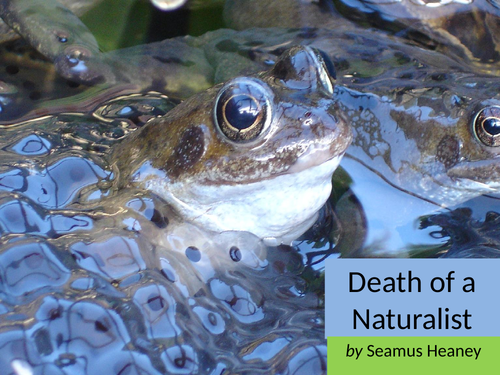 Death of a Naturalist by Seamus Heaney | Teaching Resources