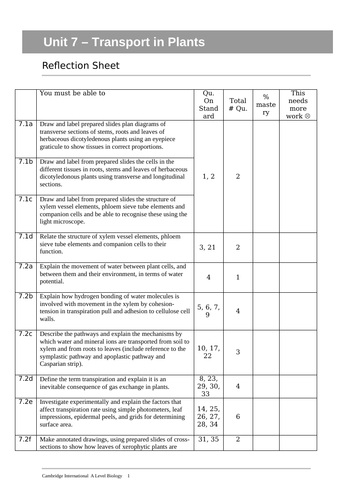 9700 CIE Transport in Plants Examination Pack - Review Sheet, Exam with ...