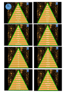 End of term quiz (Top 10/Tenable) | Teaching Resources