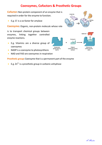 Co-enzymes, Co-factors & Prosthetic Groups | Teaching Resources