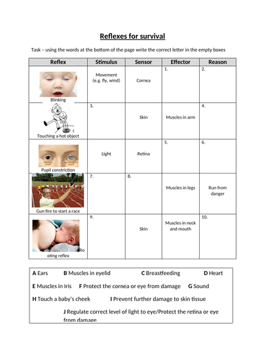 Nervous system and Reflexes GCSE/iGCSE 3 x activities. Revision lesson ...