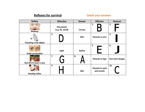 Nervous system and Reflexes GCSE/iGCSE 3 x activities. Revision lesson ...