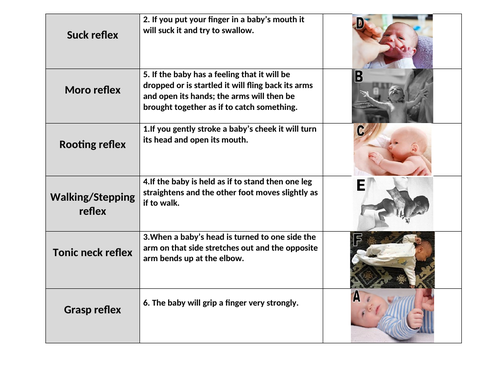 Nervous system and Reflexes GCSE/iGCSE 3 x activities. Revision lesson ...