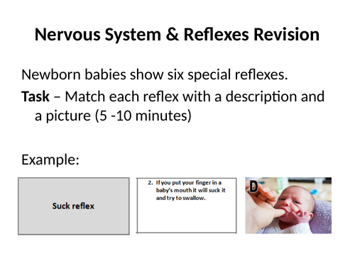 Nervous system and Reflexes GCSE/iGCSE 3 x activities. Revision lesson ...