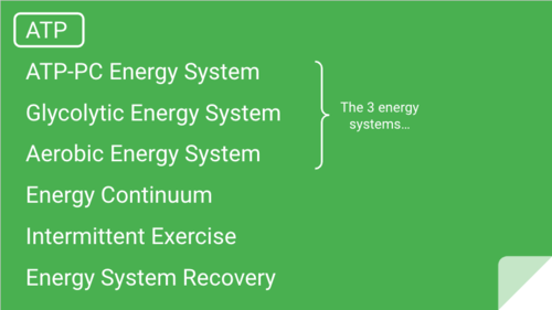 A-Level PE (OCR) Energy Systems | Teaching Resources A-Level PE (OCR) Energy Systems | Teaching Resources