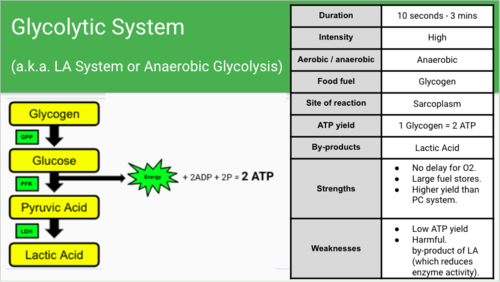 A-Level PE (OCR) Energy Systems | Teaching Resources A-Level PE (OCR) Energy Systems | Teaching Resources