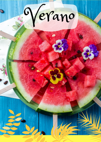 The Seasons of the Year - Estaciones del año | Teaching Resources