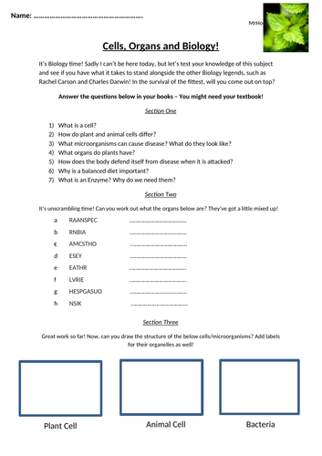 KS3/4 GCSE Science Engaging Cover Worksheets - 3 packed worksheets of ...